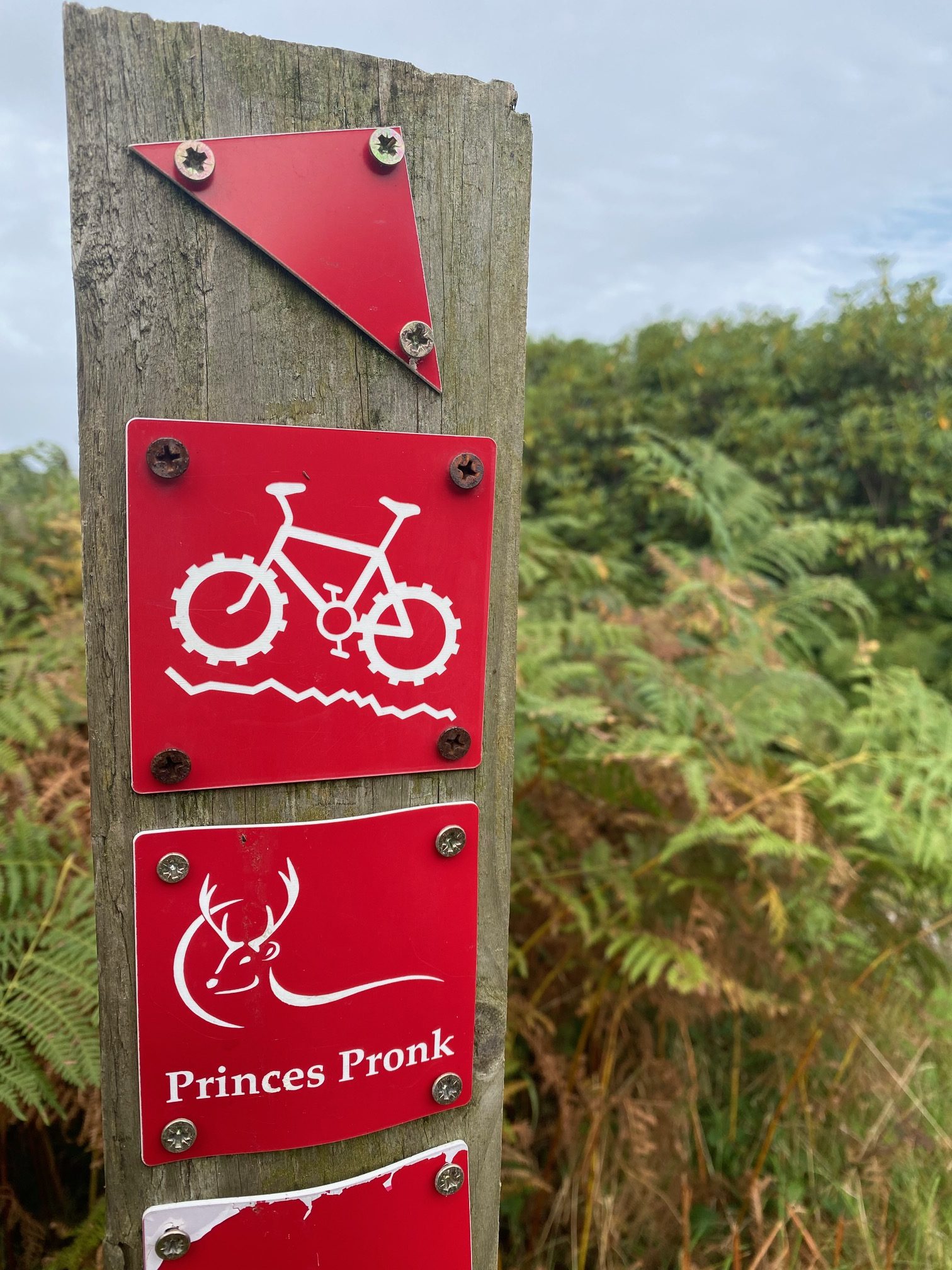 Margam Park - Red Rock Wild Camping
